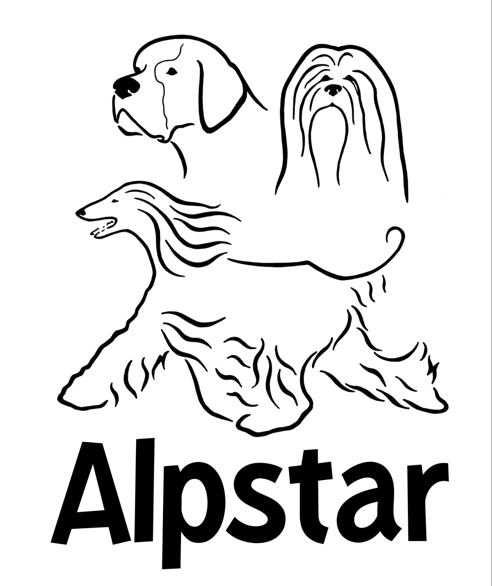 Azawakh Kennel Alpstar azawakh-kennel-alpstar